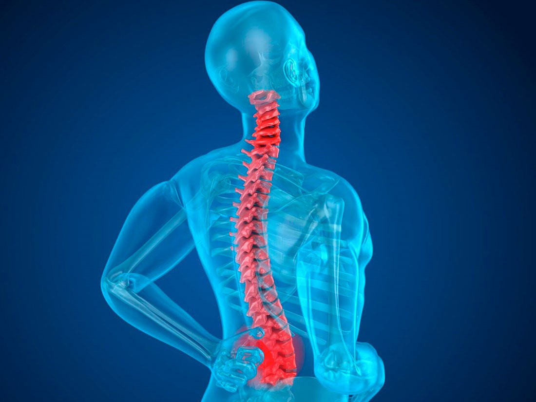 Osteopatía | Dolor de Espalda y Patologías en Columna Vertebral